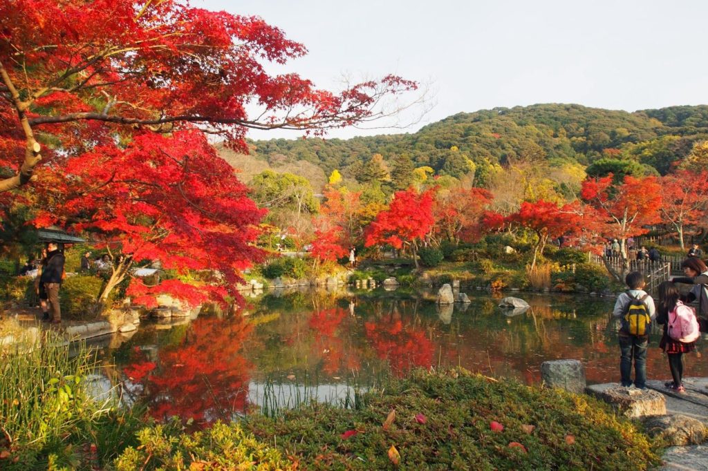 Maruyama Park, Tempat Hanami Terbaik di Sapporo - Spesialist Trip ke ...