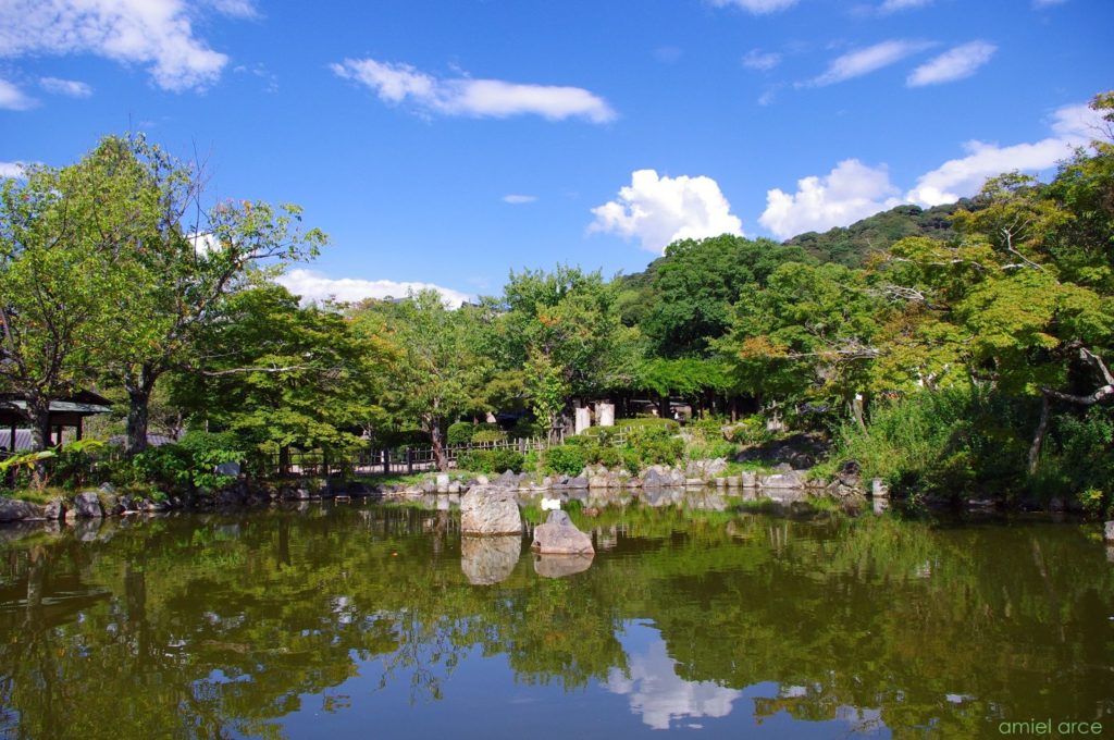 Maruyama Park, Tempat Hanami Terbaik di Sapporo - Spesialist Trip ke ...